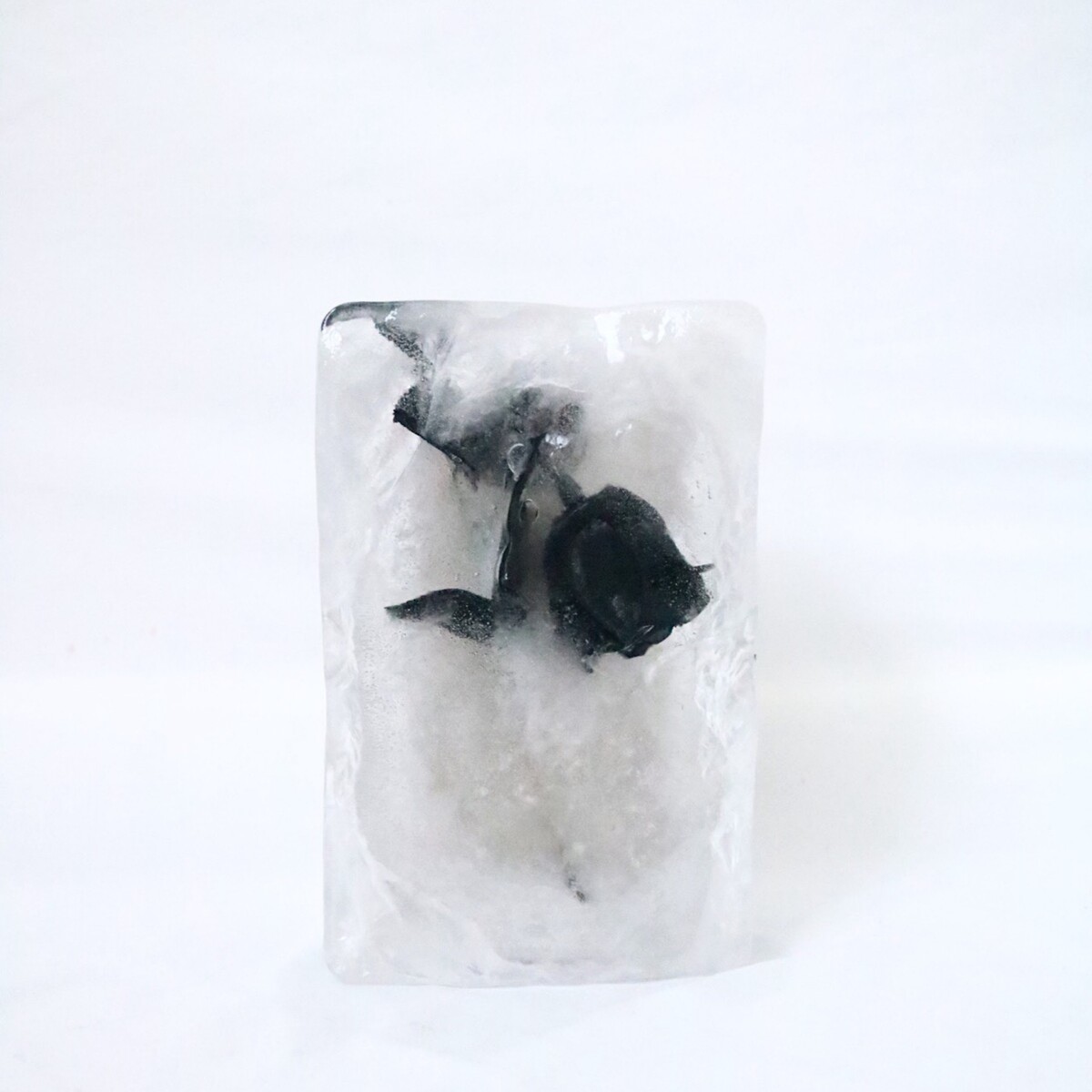 Cold by Mvssie (Single): Reviews, Ratings, Credits, Song list - Rate ...