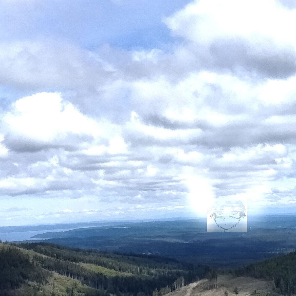 Kitsap Cold Aura by Dvstrr (Single): Reviews, Ratings, Credits, Song ...