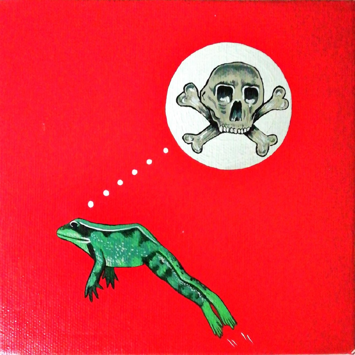 Frog Dreaming Skull by Stuart Chalmers & Neil Campbell (Album ...