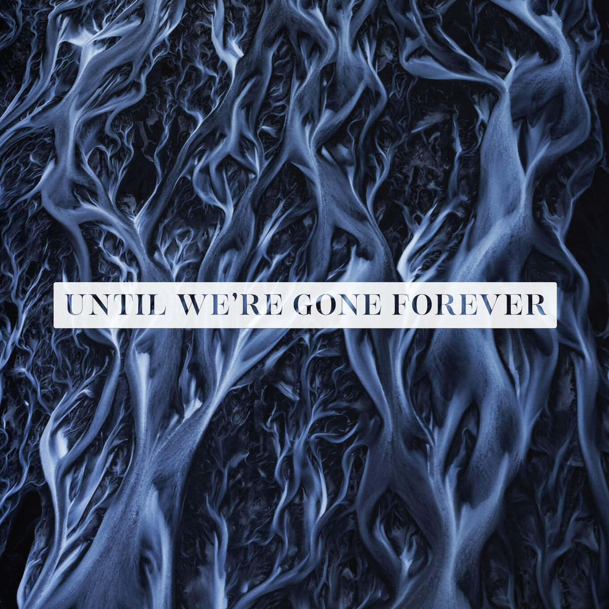 Until We're Gone Forever by Sublab (Single): Reviews, Ratings, Credits ...