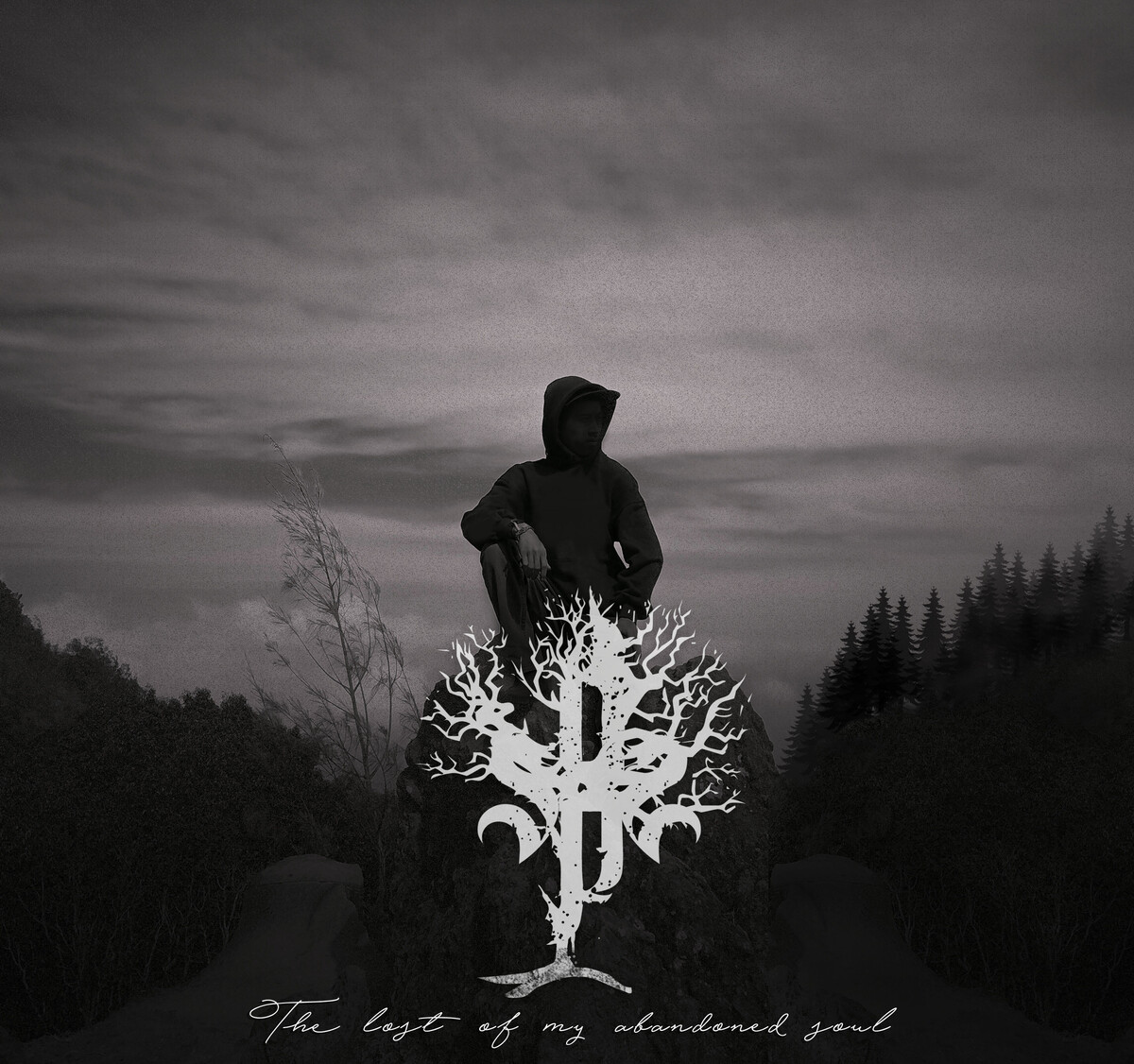 Desolate Paradise Albums: songs, discography, biography, and listening ...