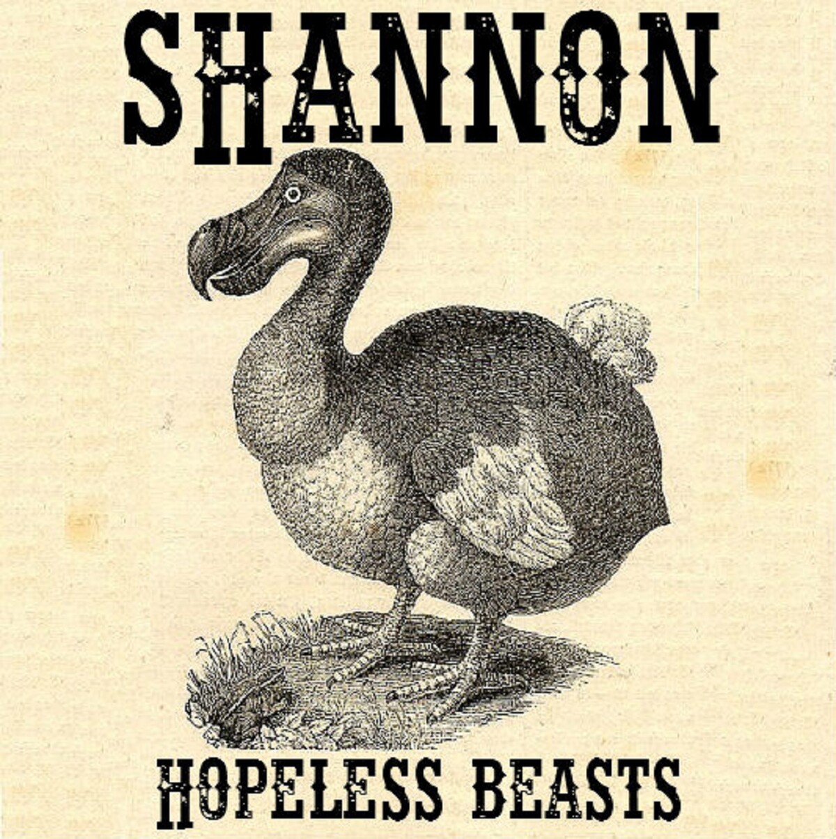 Shannon Albums: songs, discography, biography, and listening guide ...