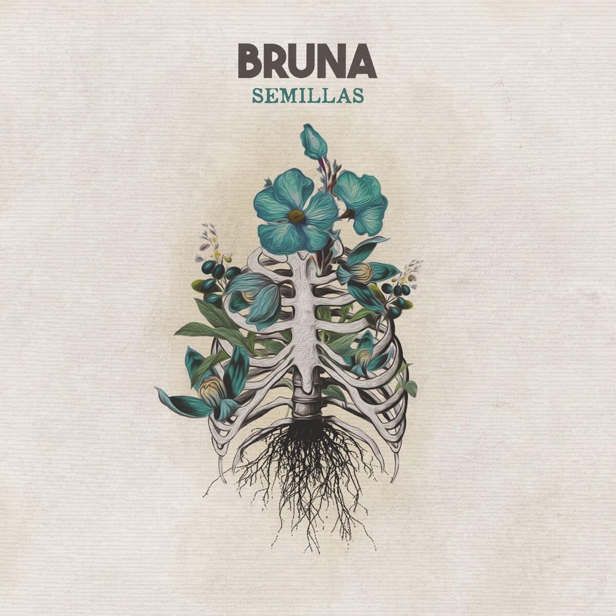 Semillas by Bruna (Single): Reviews, Ratings, Credits, Song list - Rate ...