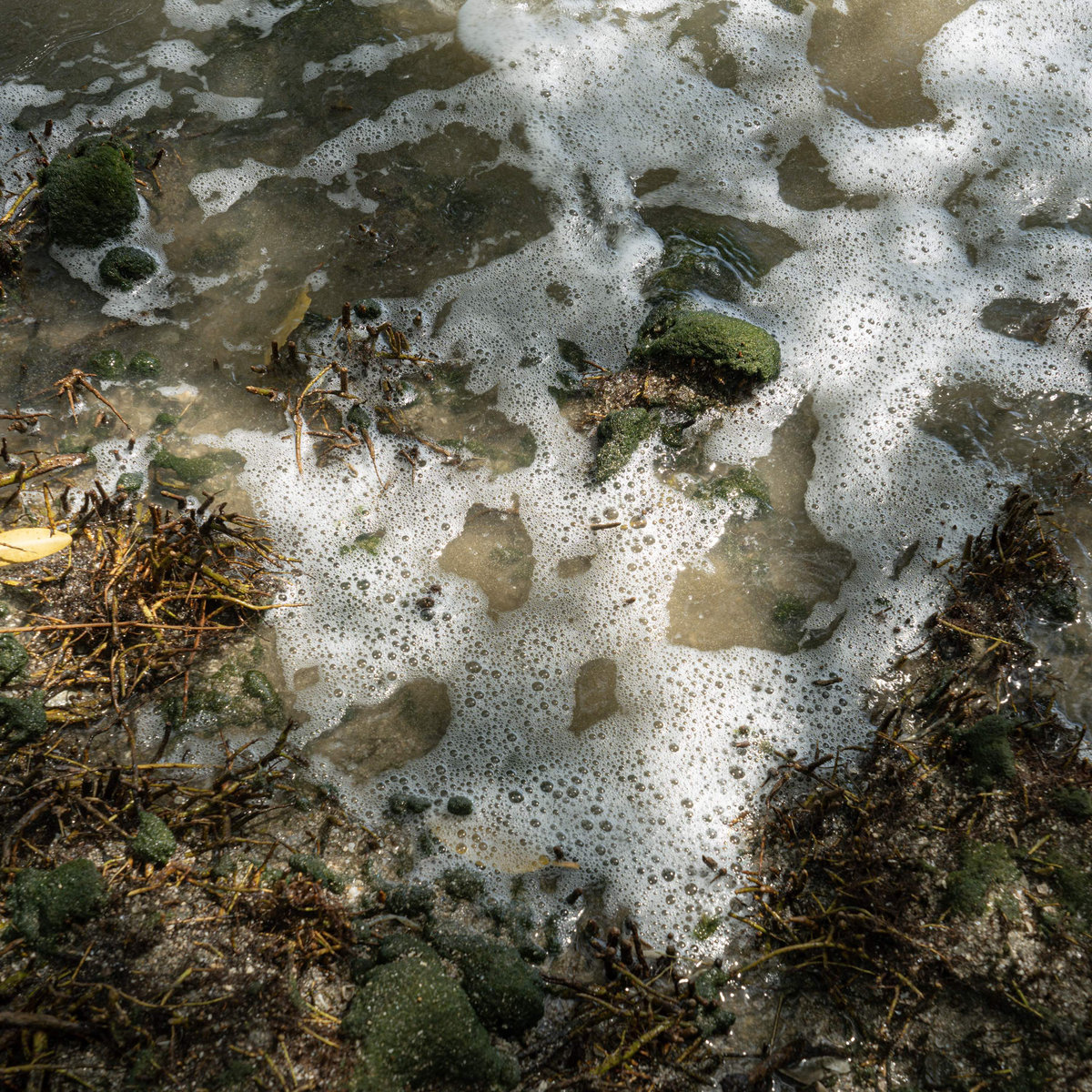 Pirate Mode by AlphaWhores (Single): Reviews, Ratings, Credits, Song ...