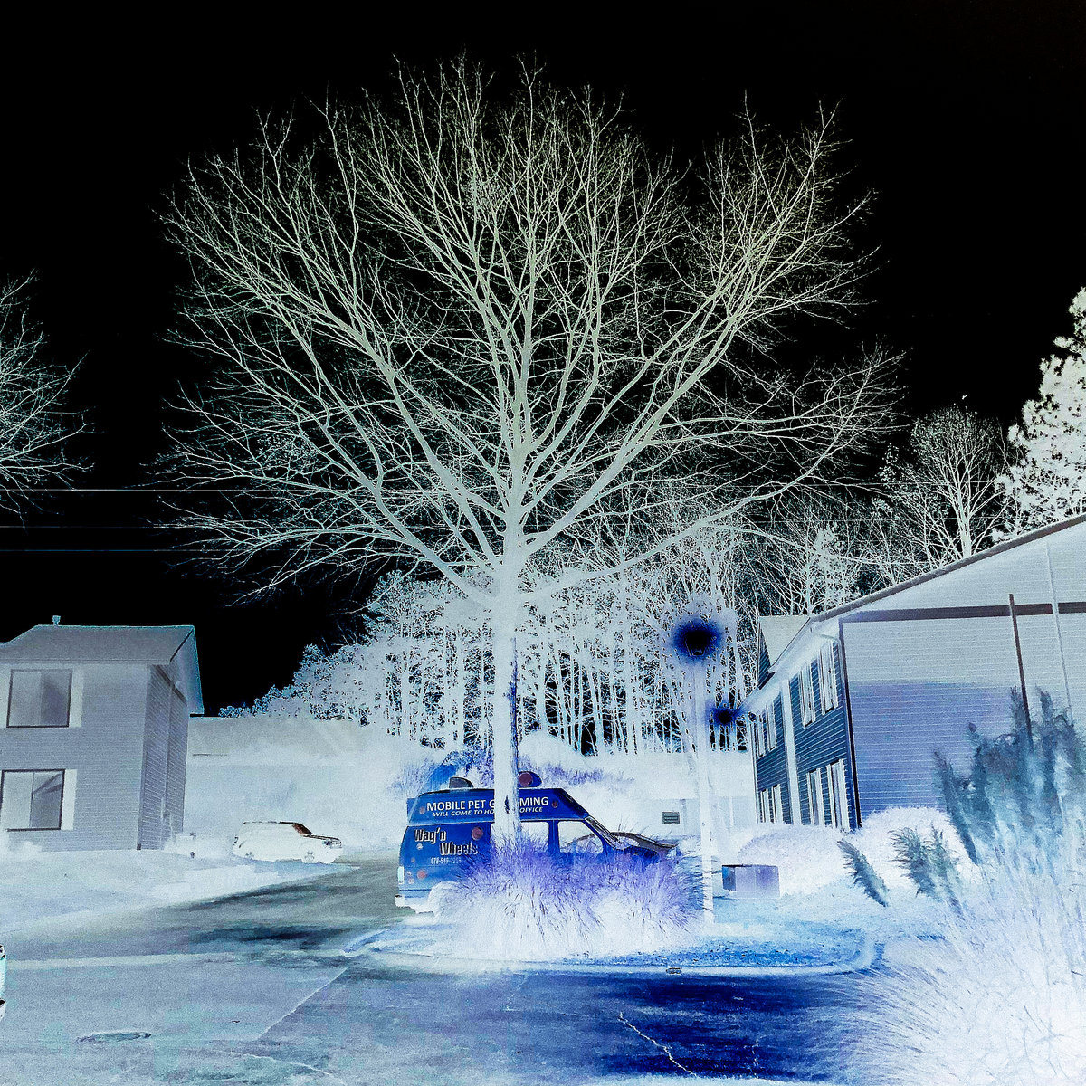 January by Daniel Tanghal (Compilation): Reviews, Ratings, Credits ...