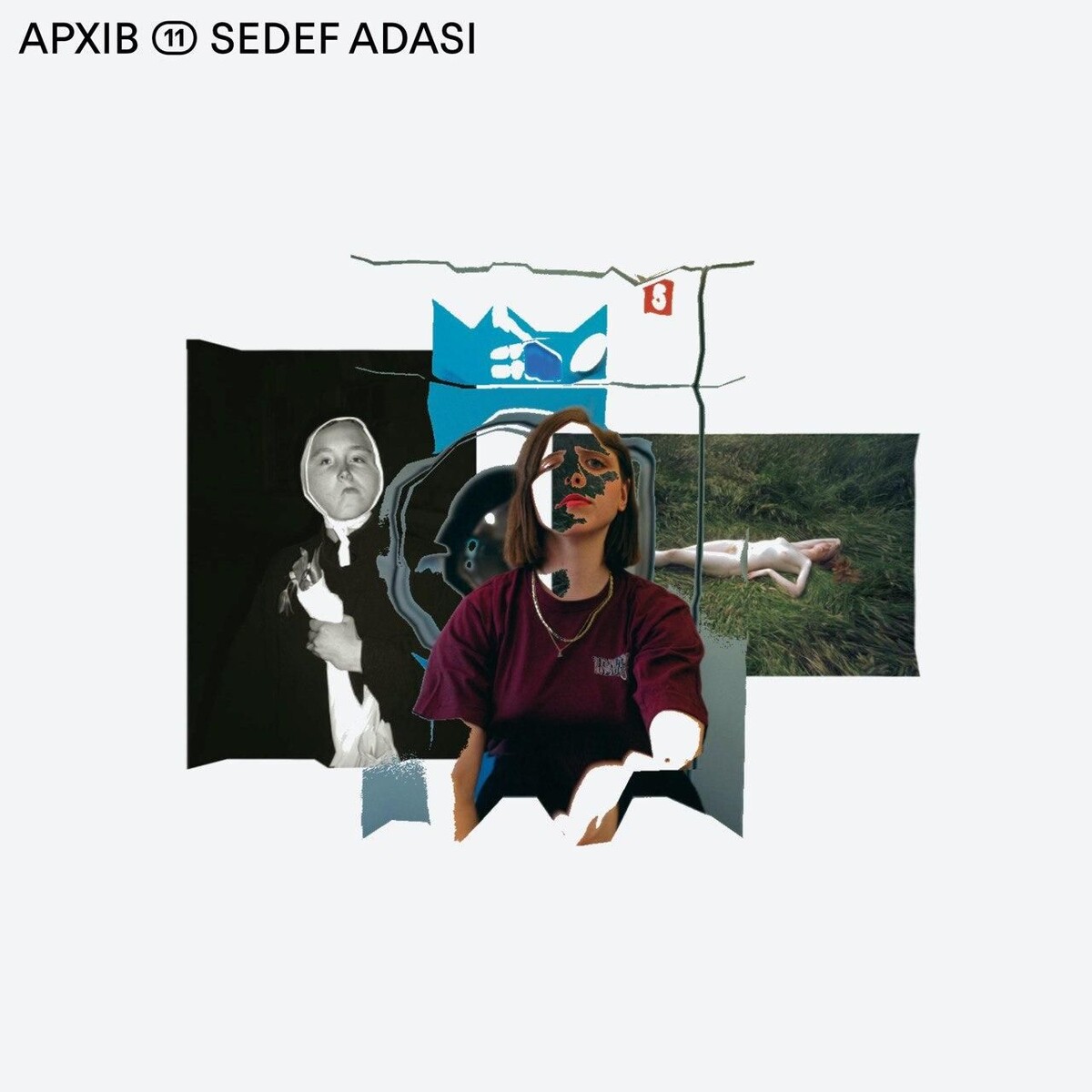 APXIB ⑪ by Sedef Adasi (DJ Mix): Reviews, Ratings, Credits, Song list ...