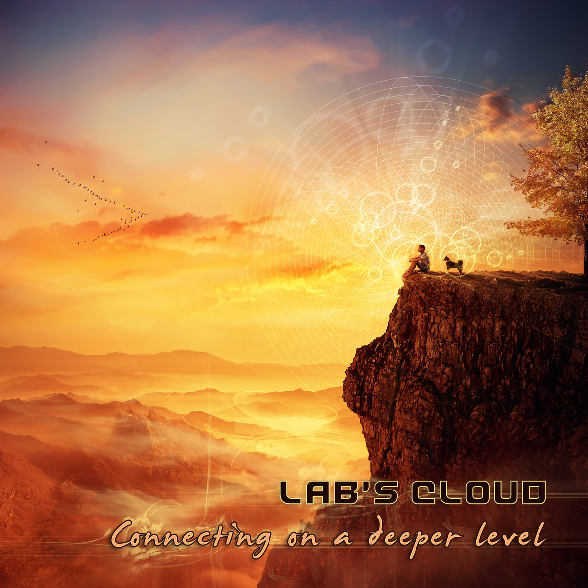 Connecting on a Deeper Level by Lab's Cloud (Album; Altar; ALR1DW970 ...