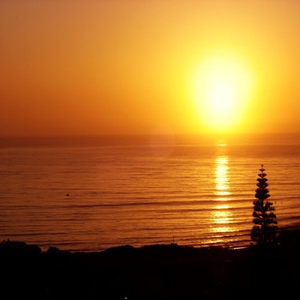 Cyrex Albums: songs, discography, biography, and listening guide - Rate ...