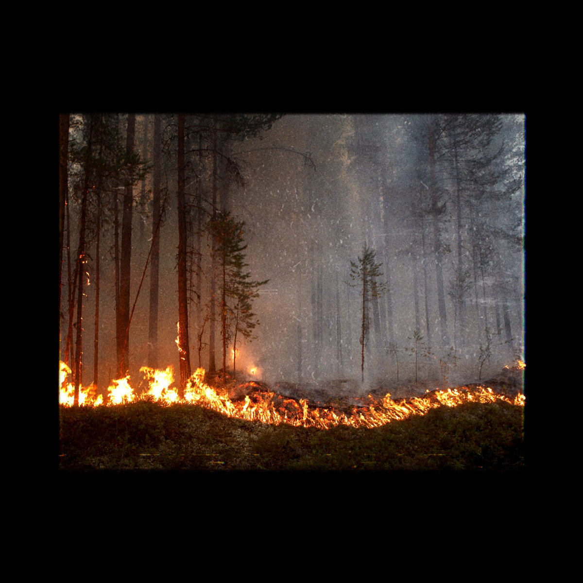 Themeda by Palence (Single, IDM): Reviews, Ratings, Credits, Song list ...