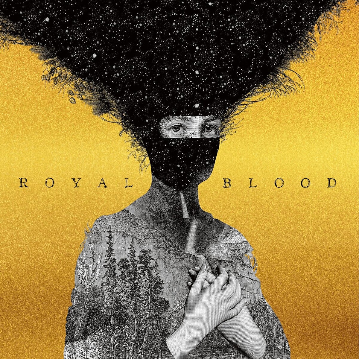 Royal Blood by Royal Blood (Album; Warner; 5021732263605): Reviews ...