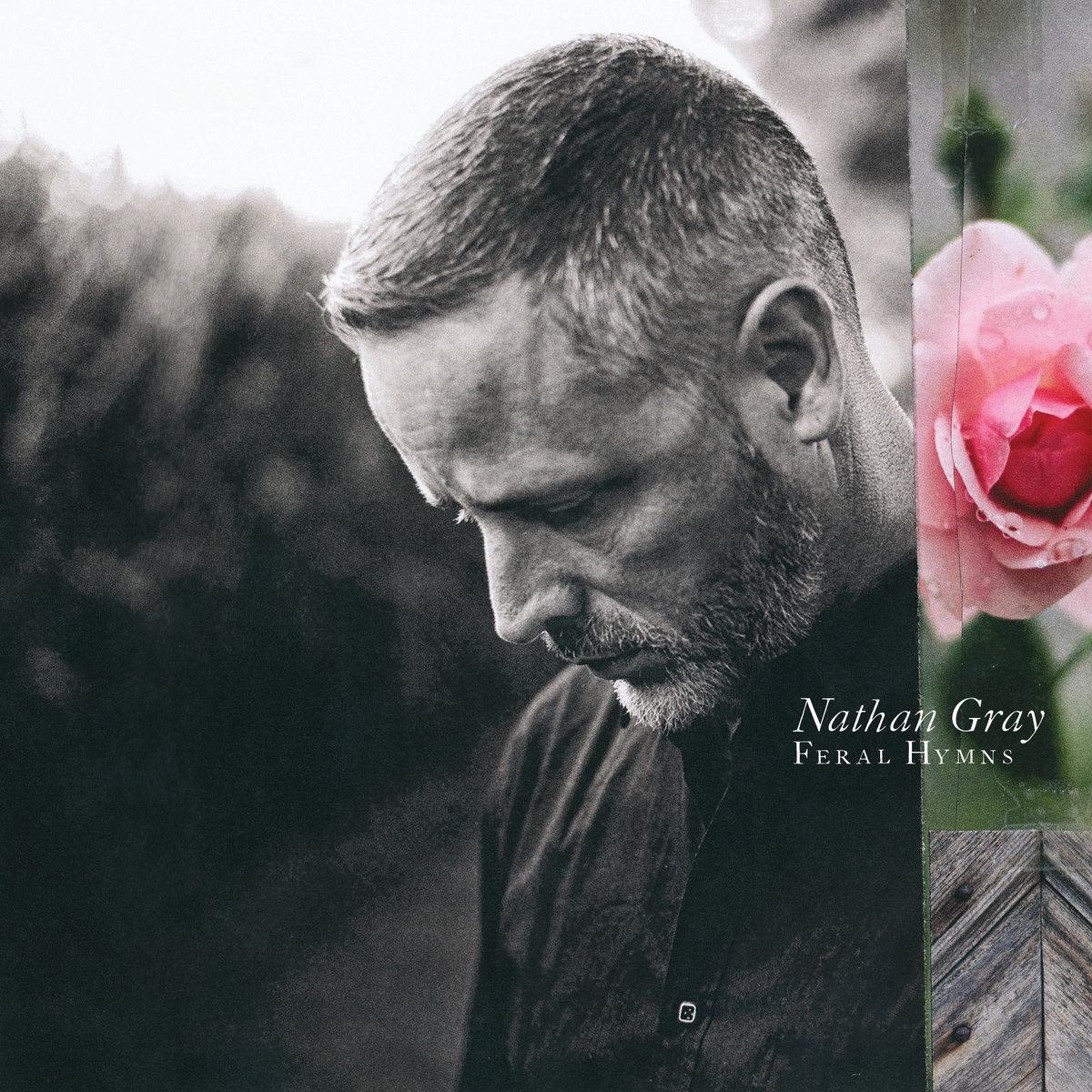 Nathan Gray Albums: songs, discography, biography, and listening guide ...