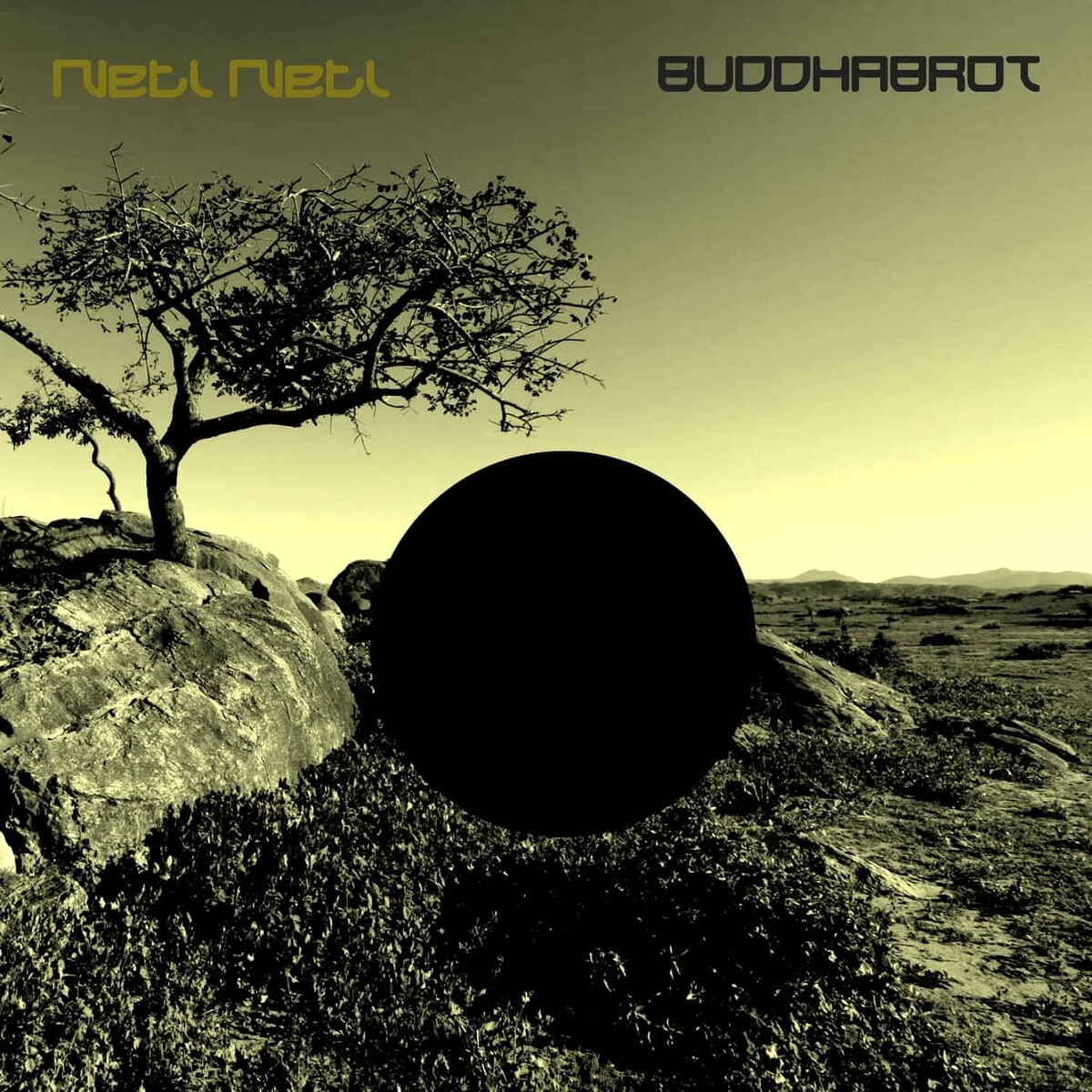 Neti Neti by Buddhabrot (Album): Reviews, Ratings, Credits, Song list ...