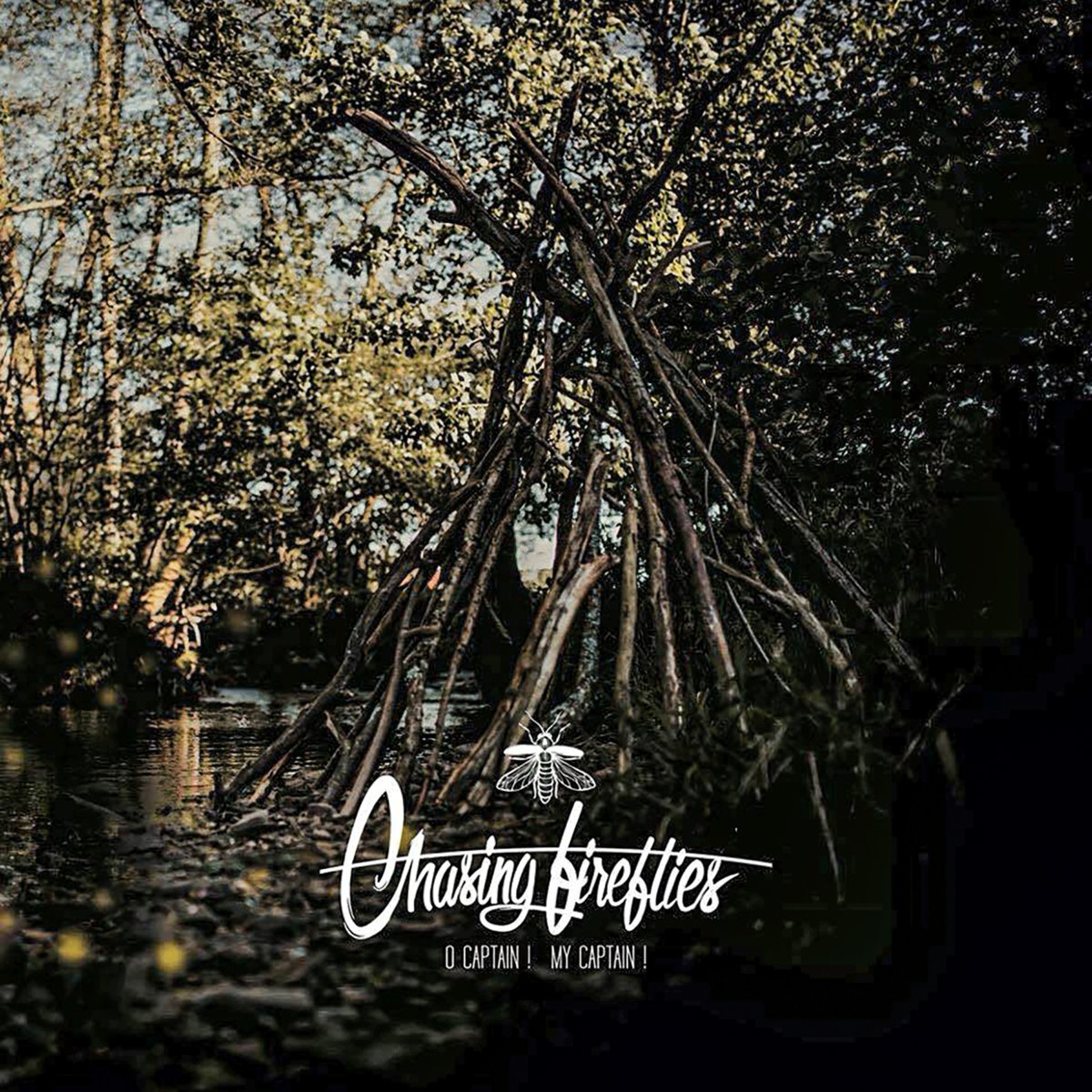 Chasing Fireflies by O Captain! My Captain! (Album, Punk Rock): Reviews ...