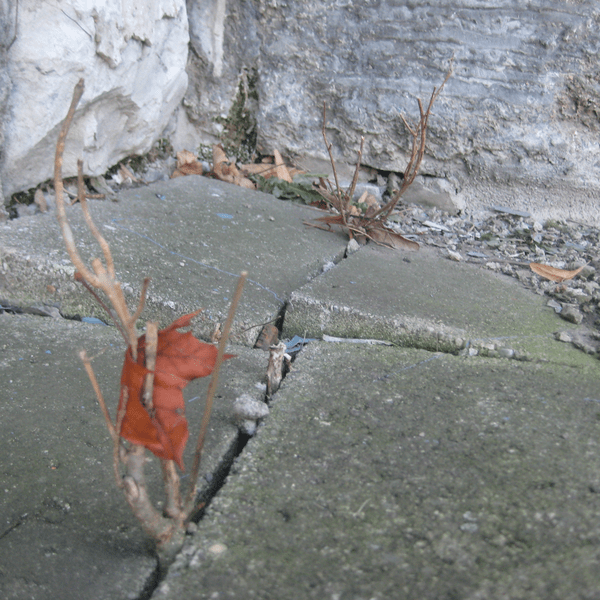 Stone Recorded by Red Alien (Album, Ambient): Reviews, Ratings, Credits ...