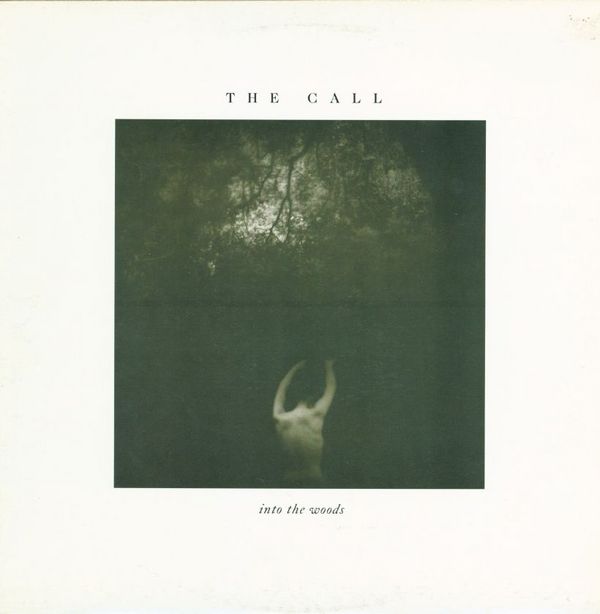 Into the Woods by The Call (Album, Pop Rock): Reviews, Ratings, Credits ...