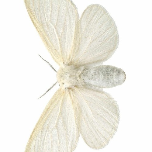 Unendlichkeit by Ultramaryna (Single): Reviews, Ratings, Credits, Song ...