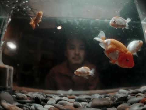 Handsome by POD & Ramon Castro (Music video): Reviews, Ratings, Credits ...