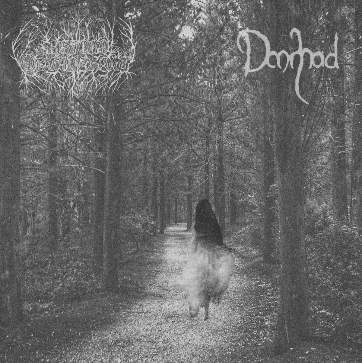 Crying Forest by Beyond Melancholy & Dannhad (Single, DSBM): Reviews ...