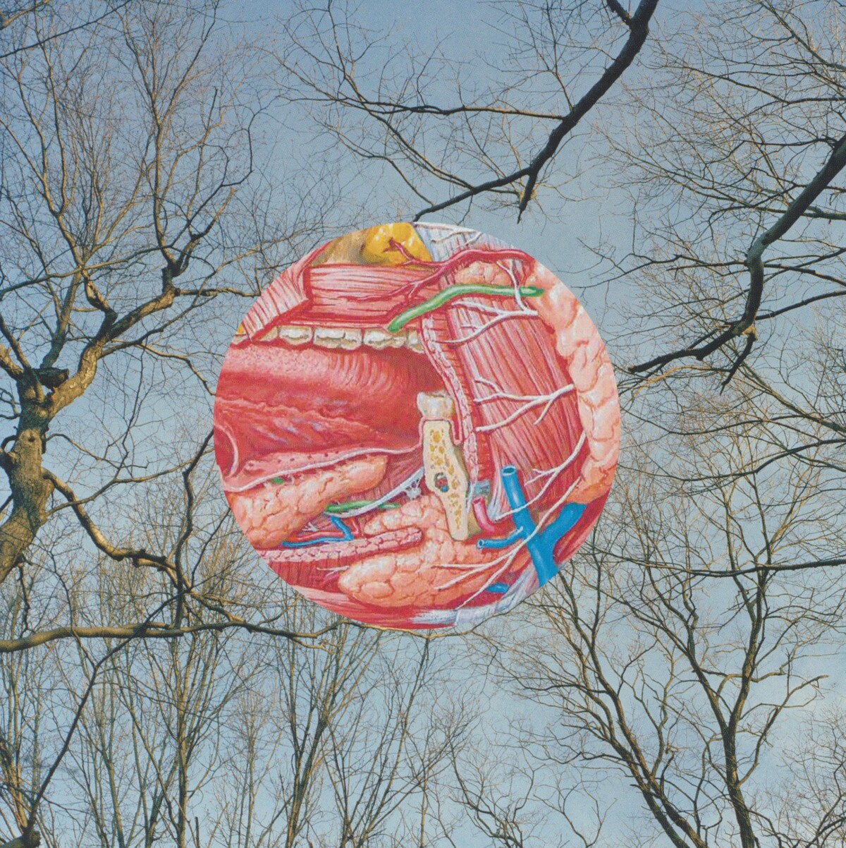 Best Geek Rock albums of 2015 - Rate Your Music