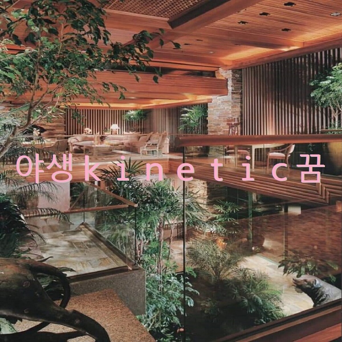 Teakwood Coves by 야생kinetic꿈 [Wild Kinetic Dreams] (Album): Reviews ...