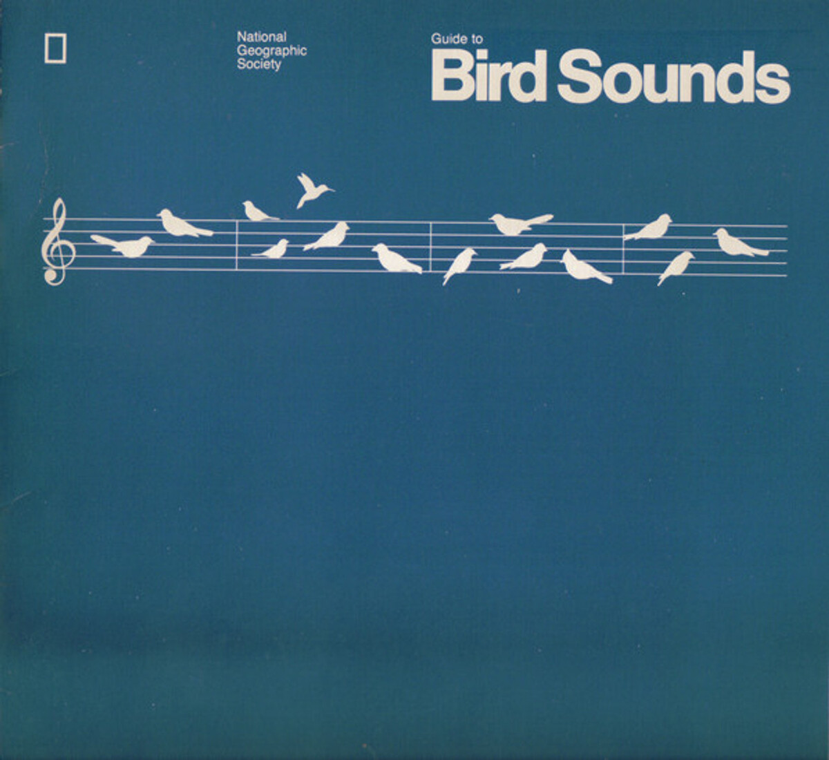 Guide to Bird Sounds by The Cornell Lab of Ornithology (Album, Bird ...