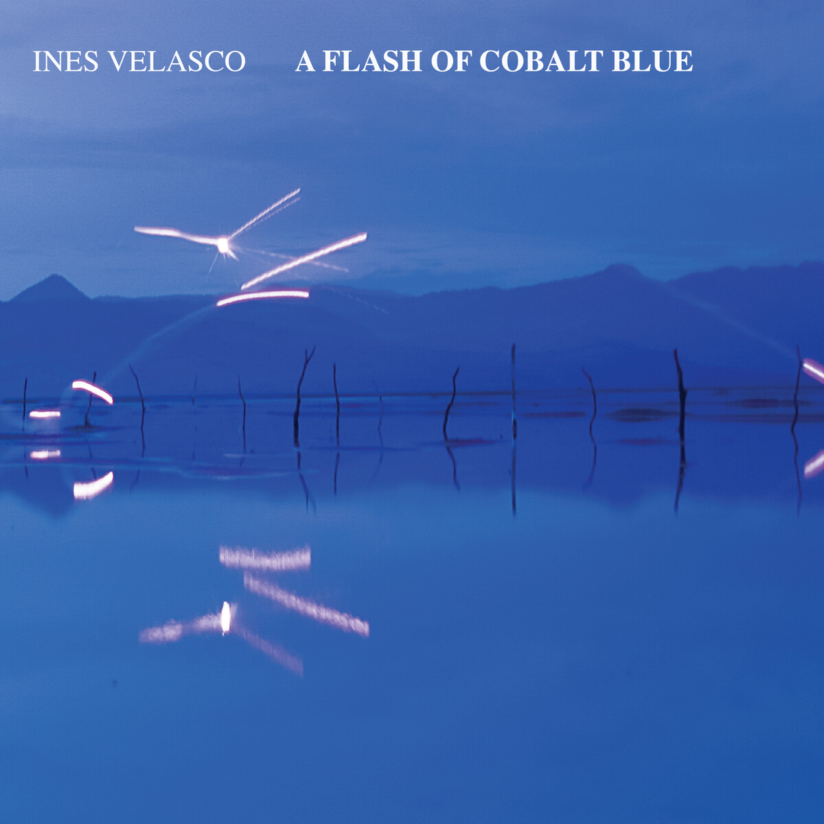 A Flash of Cobalt Blue by Inés Velasco (Album): Reviews, Ratings ...