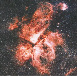 Model 500 Albums: songs, discography, biography, and listening guide ...