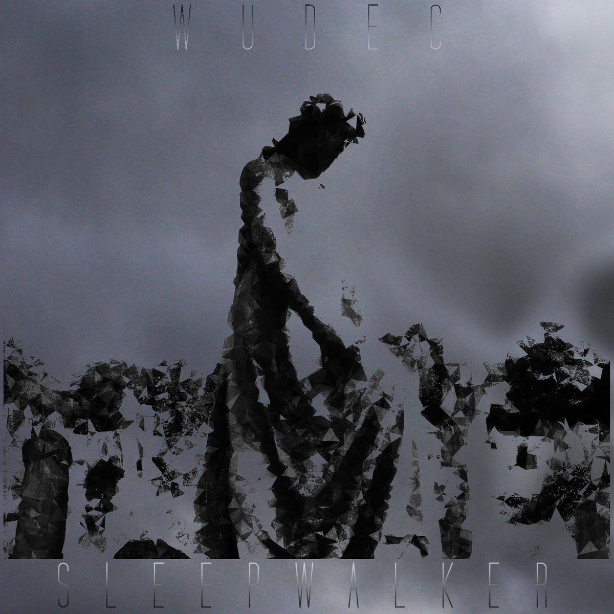 Sleepwalker by Wudec (Album, Dub Techno): Reviews, Ratings, Credits ...