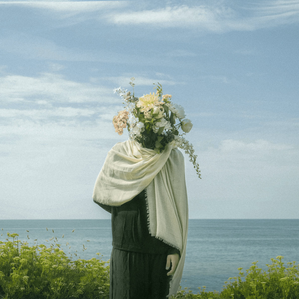 Calathea Albums: songs, discography, biography, and listening guide ...