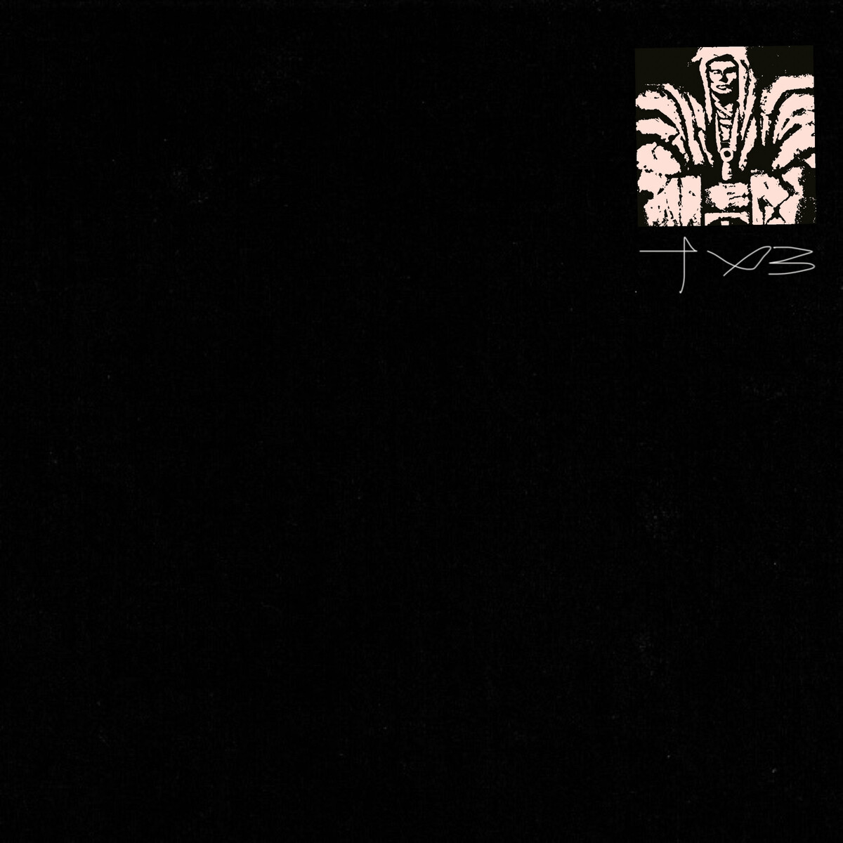 extchamber by Puma Blue (Album, Dark Ambient): Reviews, Ratings ...