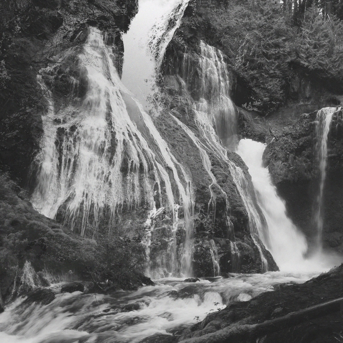 Dunya Albums: songs, discography, biography, and listening guide - Rate ...