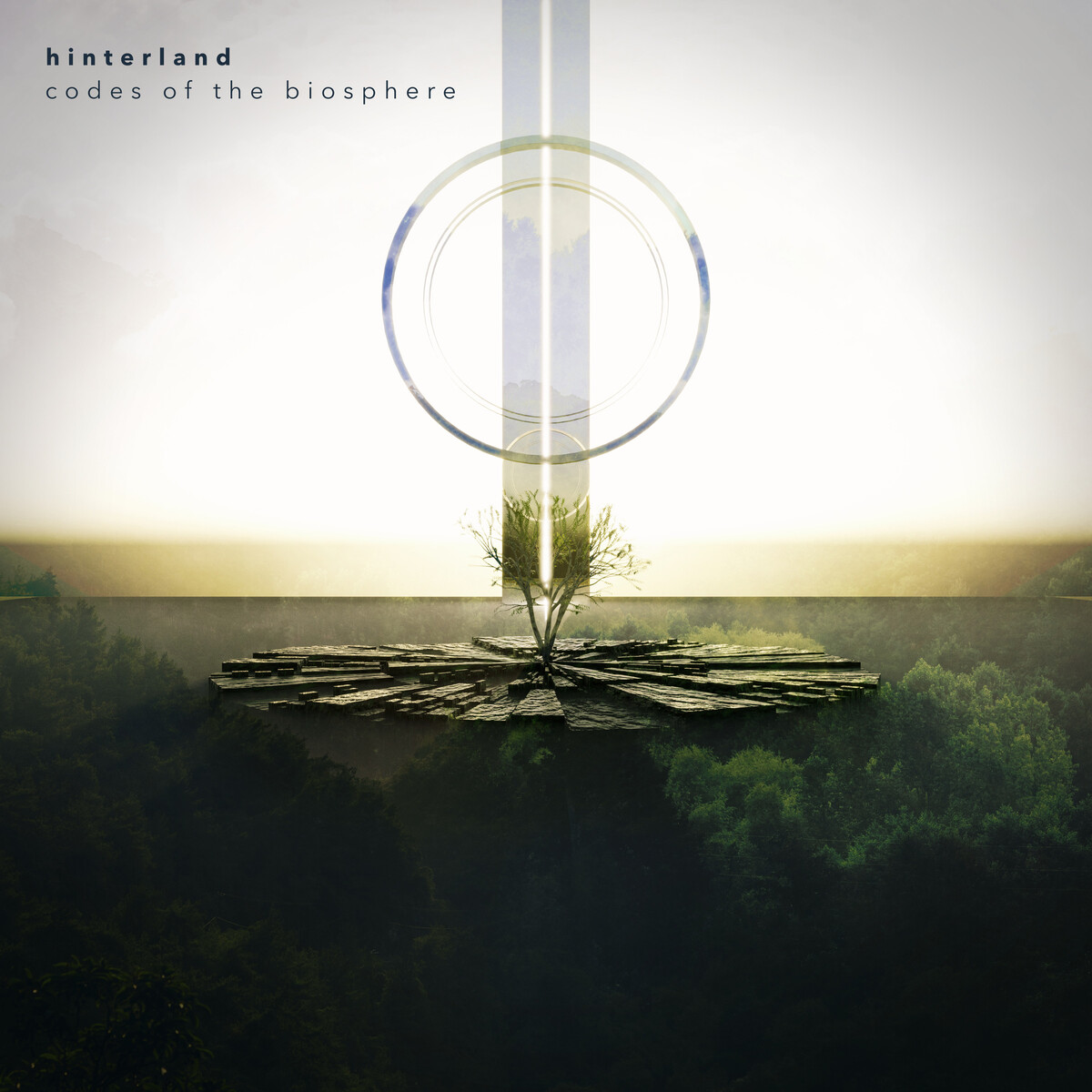 Codes of the Biosphere by Hinterland (Album, Space Ambient): Reviews ...
