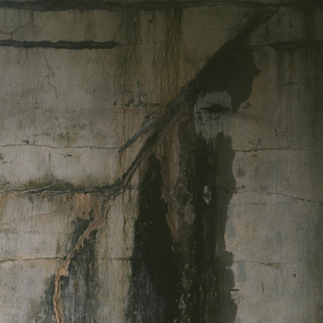 mold by grith (Album, Indie Rock): Reviews, Ratings, Credits, Song list ...