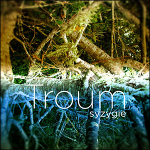 Syzygie by Troum (Compilation, Drone): Reviews, Ratings, Credits, Song ...