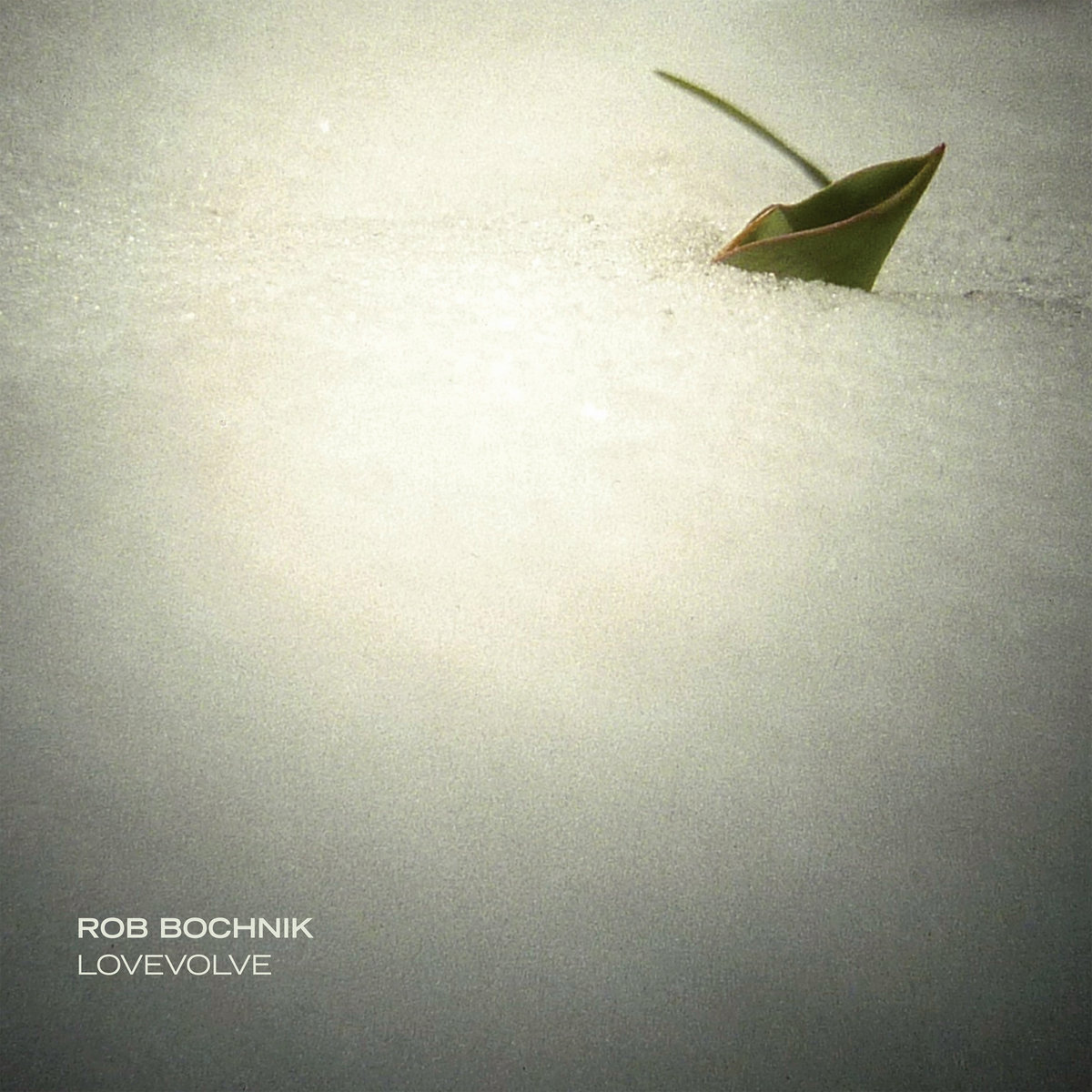 Lovevolve by Rob Bochnik (Album): Reviews, Ratings, Credits, Song list - Rate Your Music
