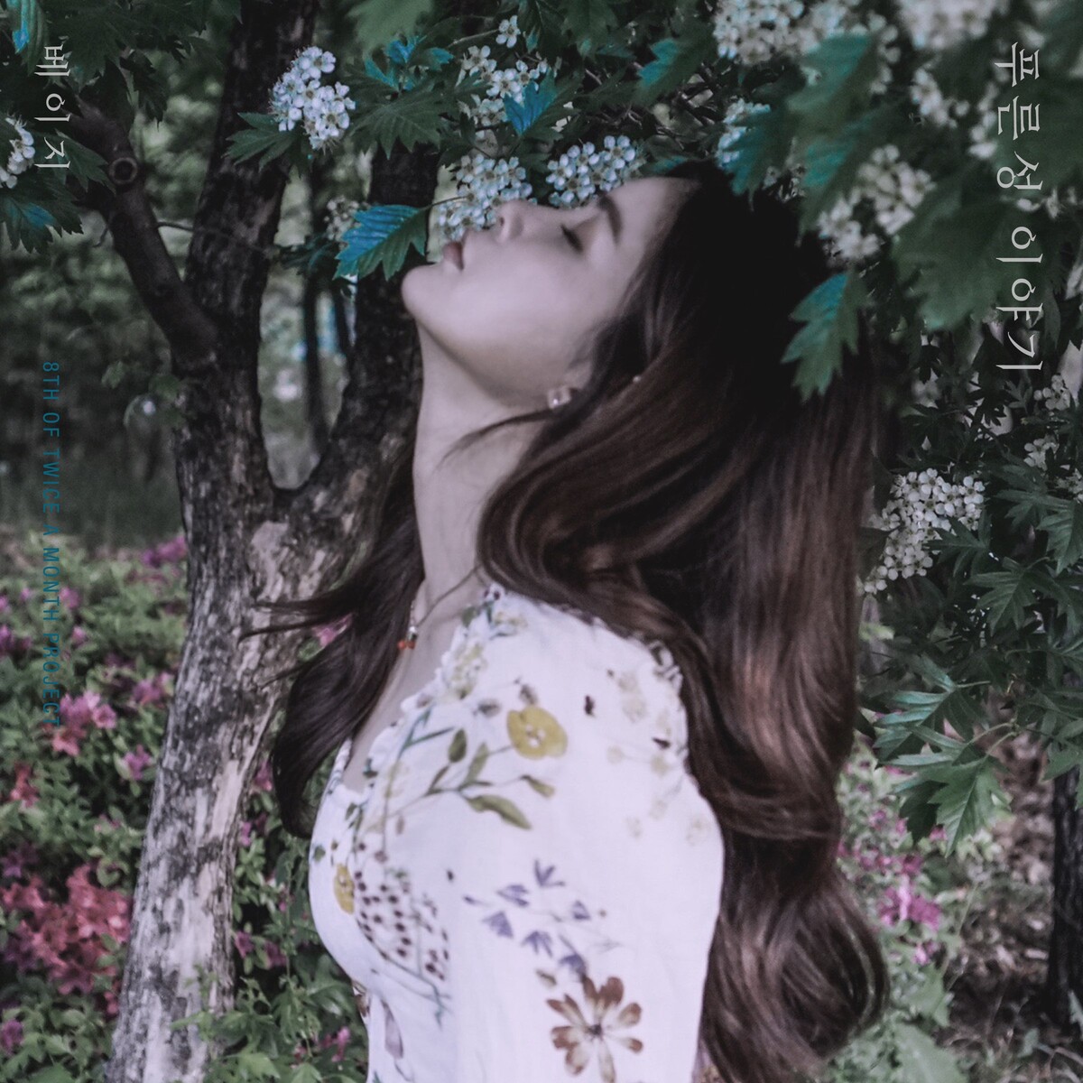 푸른 성 이야기 (Story of Blue Castle) by Beige (Single): Reviews, Ratings ...