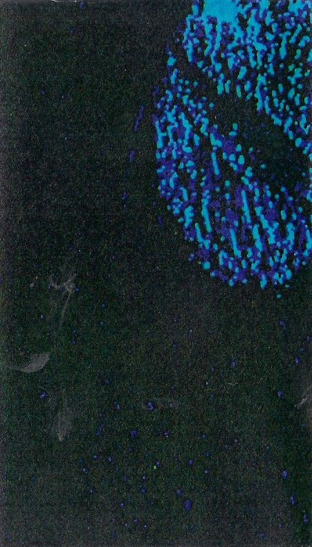 General Violet by General Violet (Album, Gothic Rock): Reviews, Ratings ...