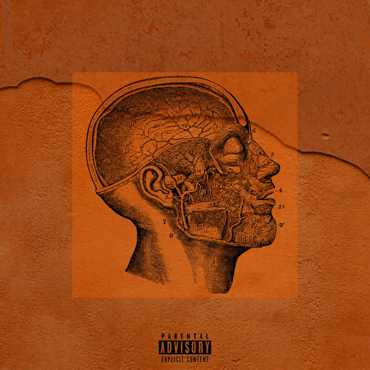 Vessel by NVSV (Album): Reviews, Ratings, Credits, Song list - Rate ...