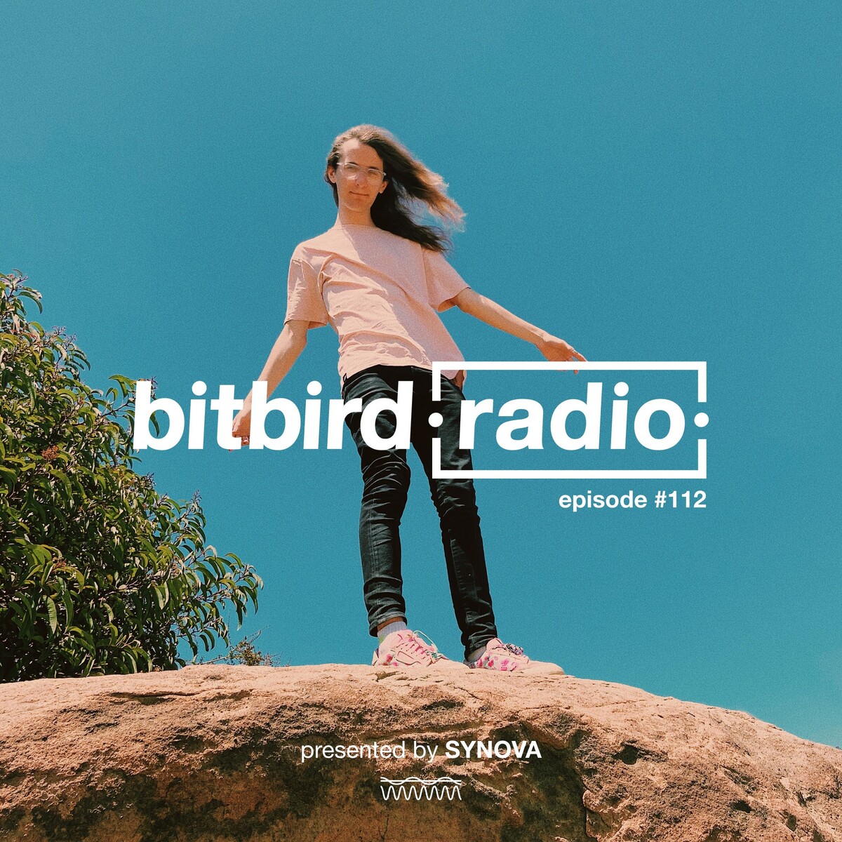 bitbird radio #112 by Synova (DJ Mix): Reviews, Ratings, Credits, Song list - Rate Your Music