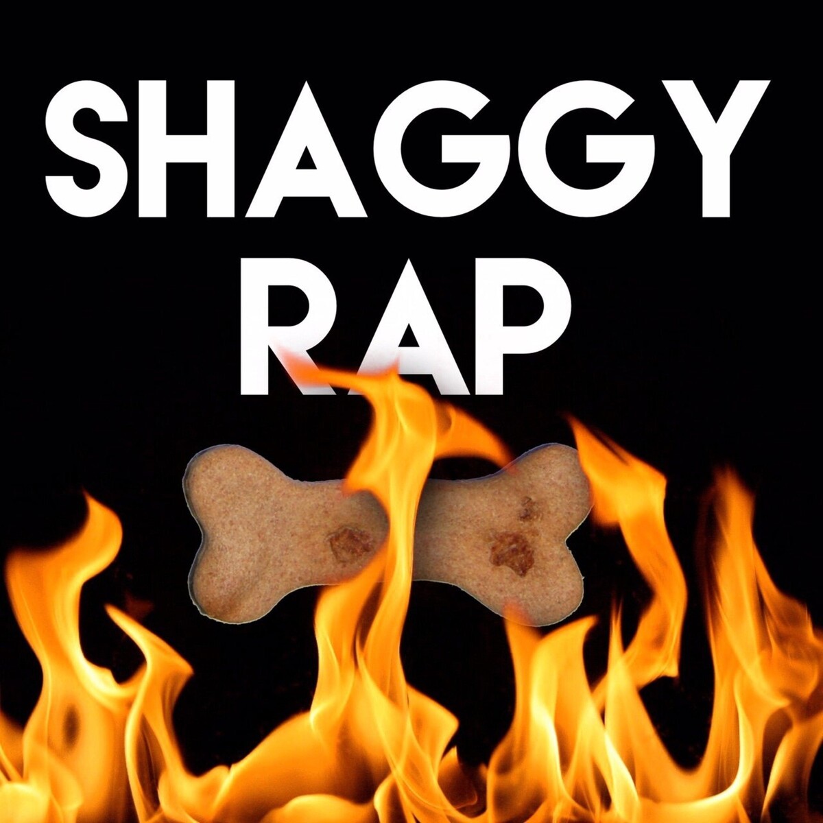 Shaggy Rap by Daddyphatsnaps (Single): Reviews, Ratings, Credits, Song ...