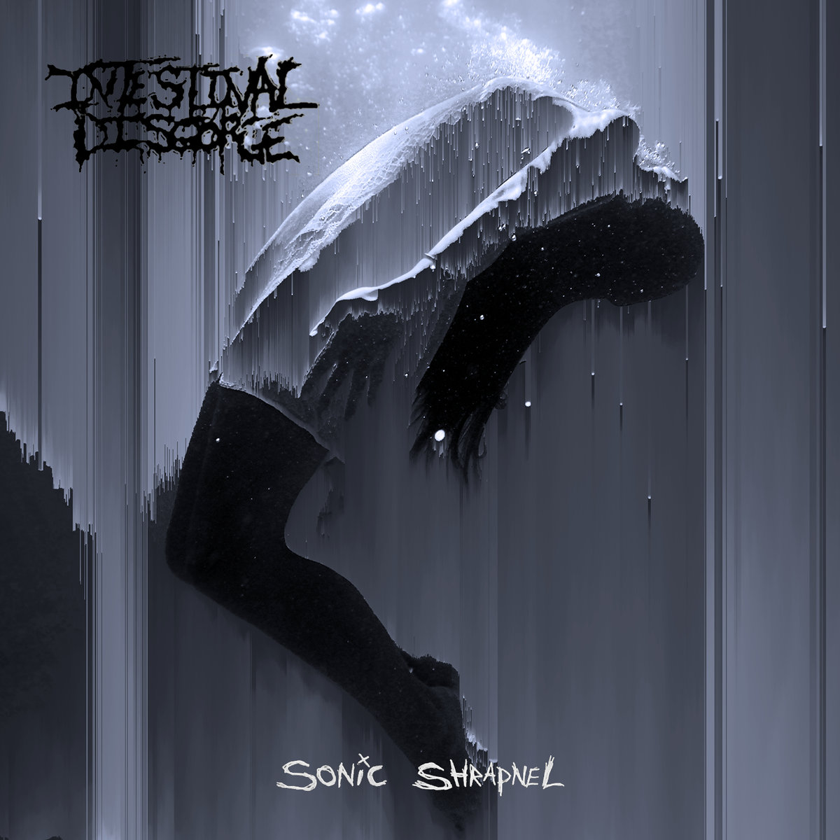Sonic Shrapnel by Intestinal Disgorge (Album, Goregrind): Reviews ...