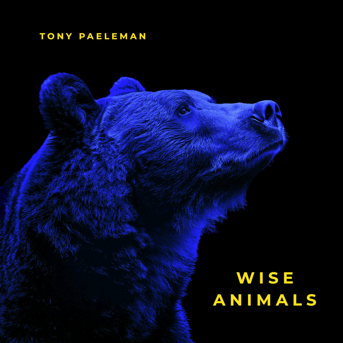 Wise Animals by Tony Paeleman (Album): Reviews, Ratings, Credits, Song ...