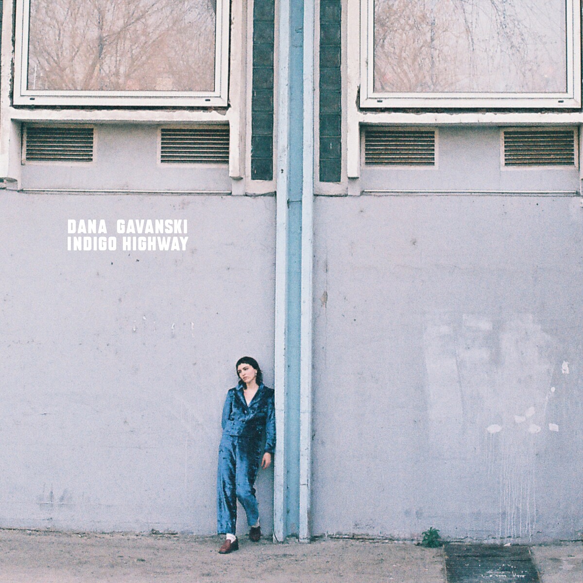 Indigo Highway by Dana Gavanski (Single): Reviews, Ratings, Credits ...