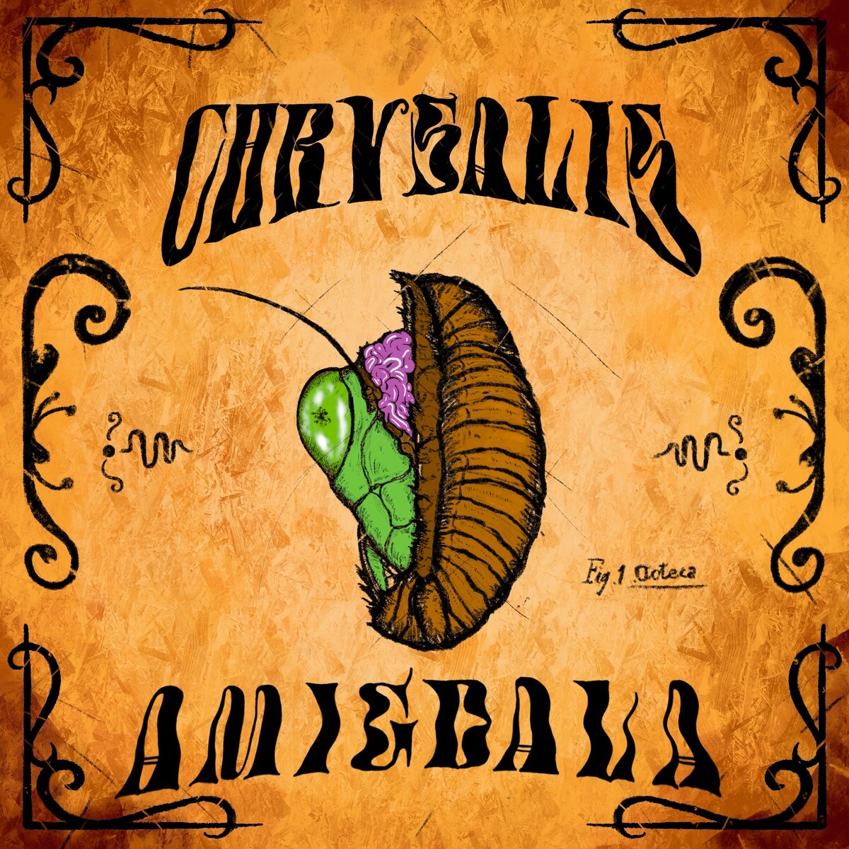 Chrysalis Albums: songs, discography, biography, and listening guide ...