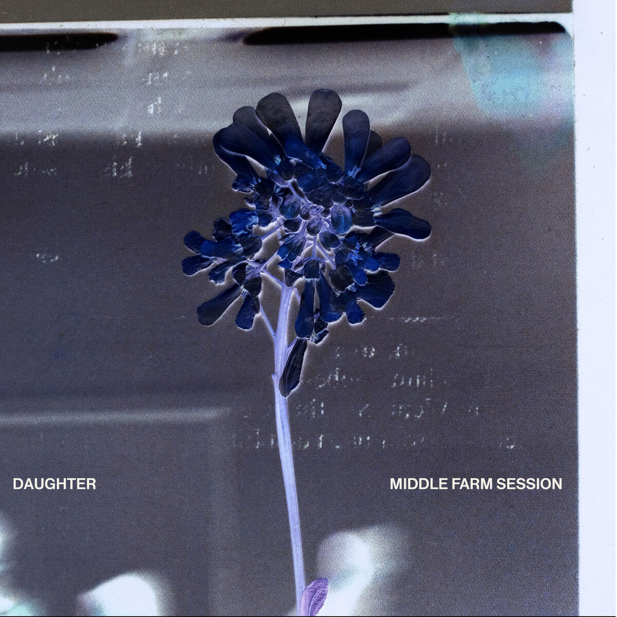 Middle Farm Session by Daughter (Additional release, Dream Pop): Reviews, Ratings, Credits, Song ...