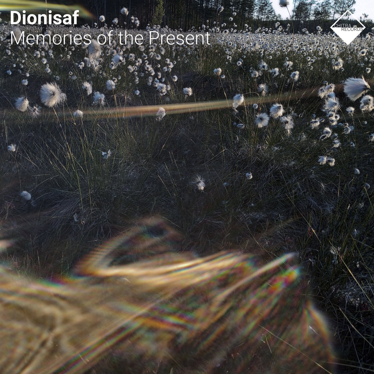 Memories of the Present by Dionisaf (Album, Ambient): Reviews, Ratings, Credits, Song list ...