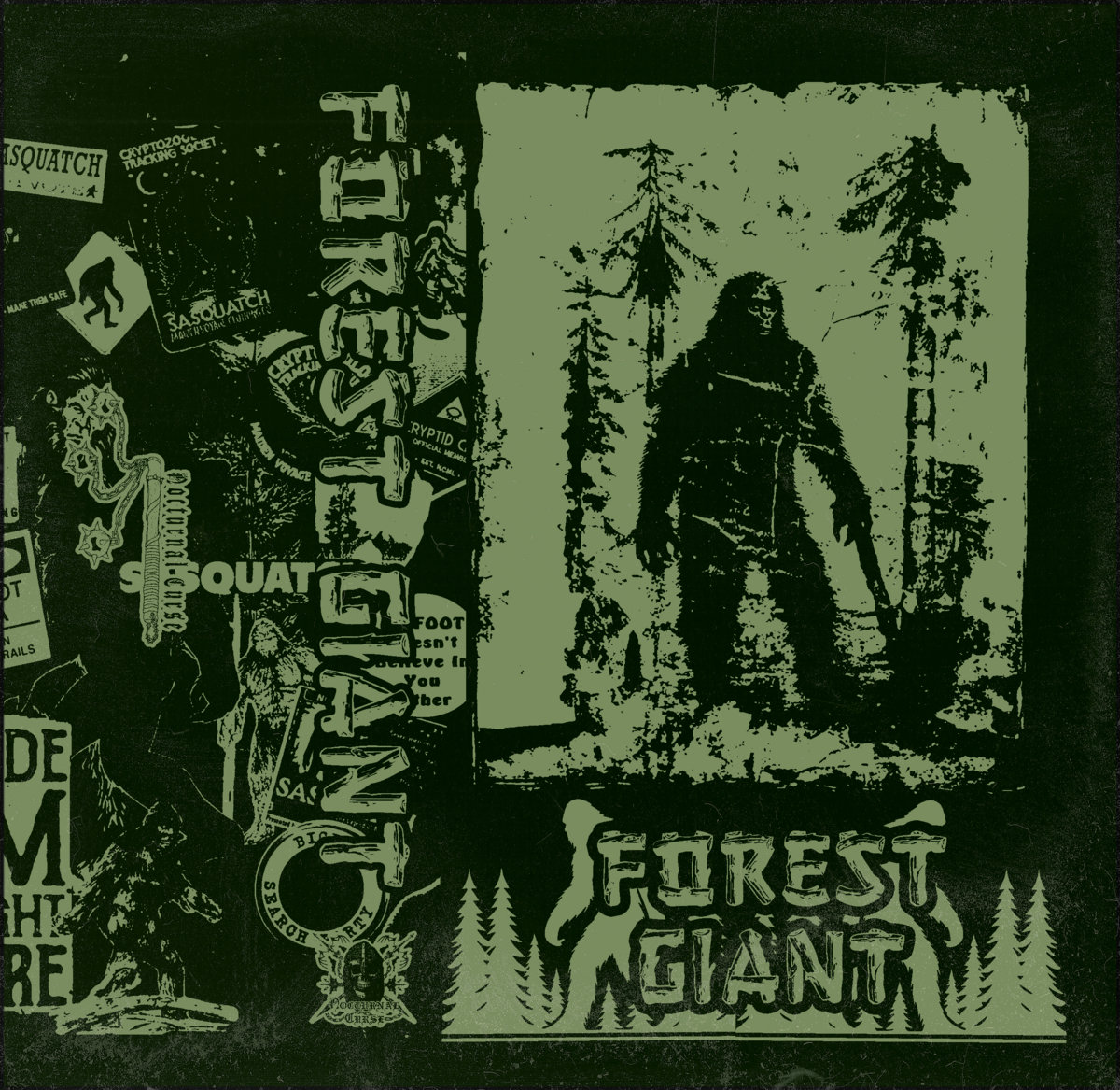 Forest Giant Albums: songs, discography, biography, and listening guide ...