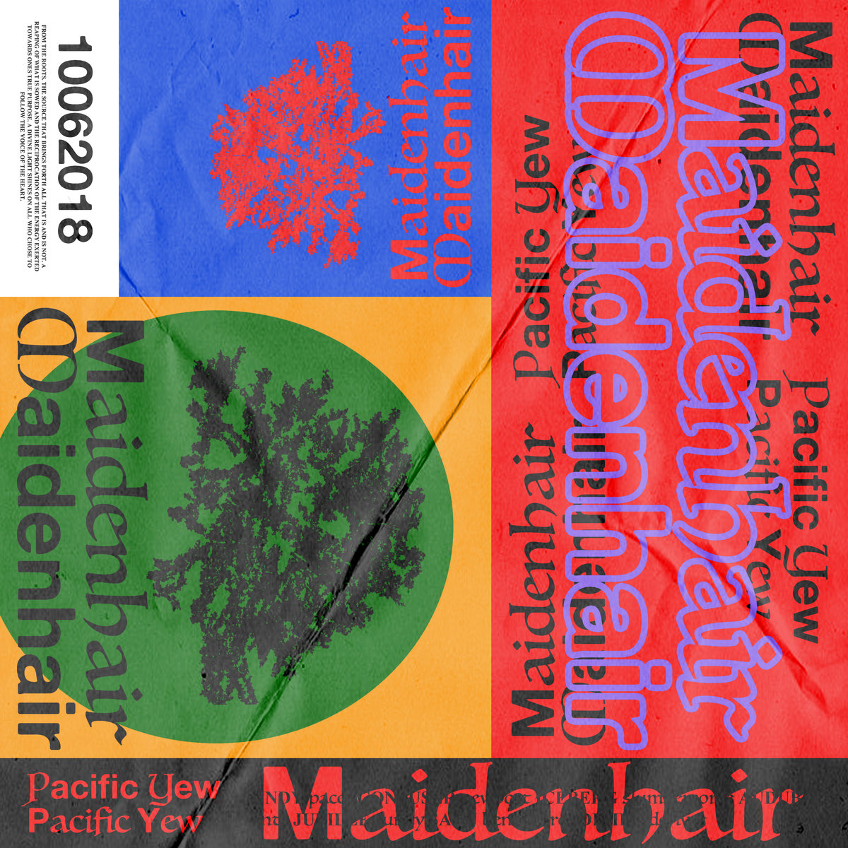 Maidenhair )))) by Pacific Yew (Album, Hypnagogic Pop): Reviews ...