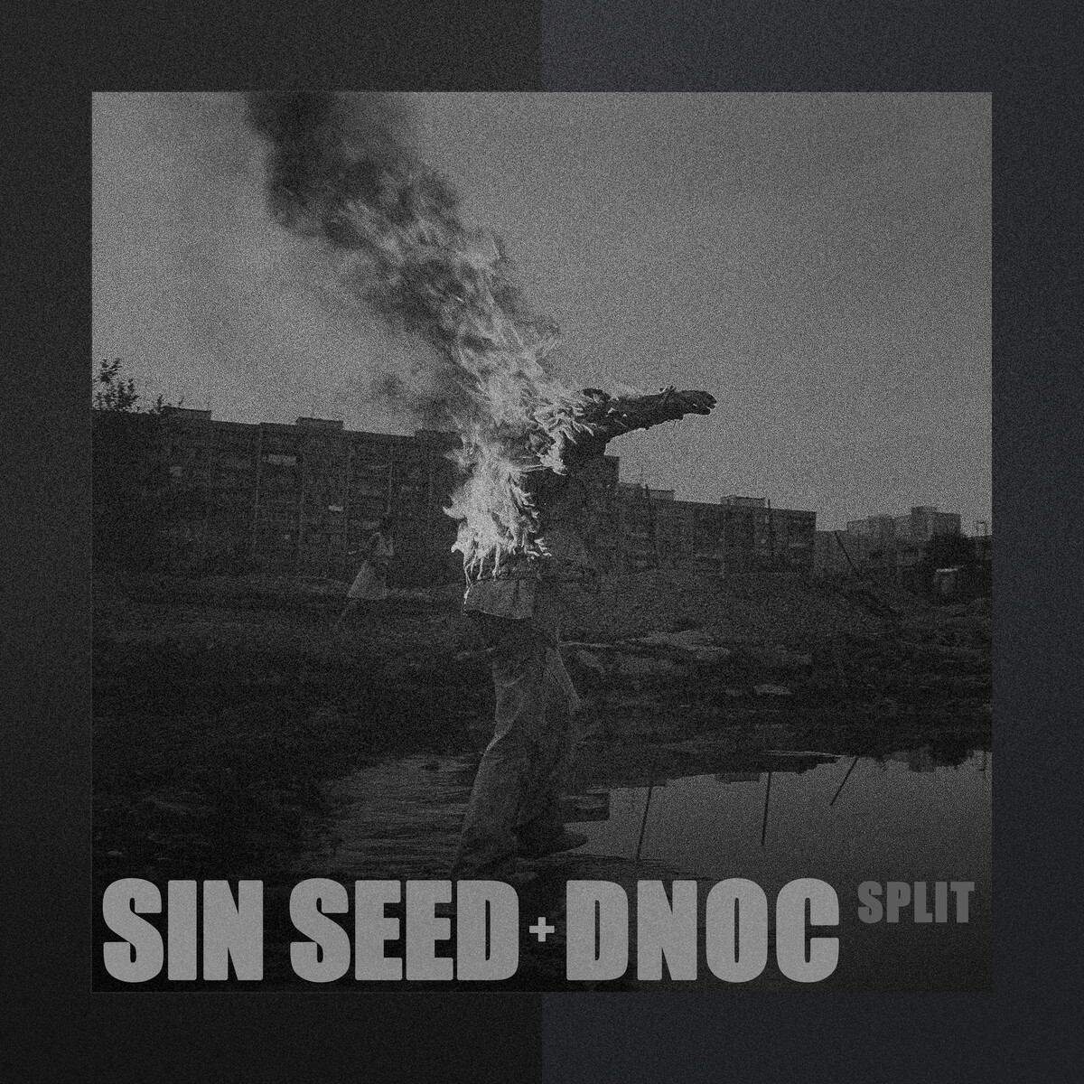 Sin Seed Albums: songs, discography, biography, and listening guide ...