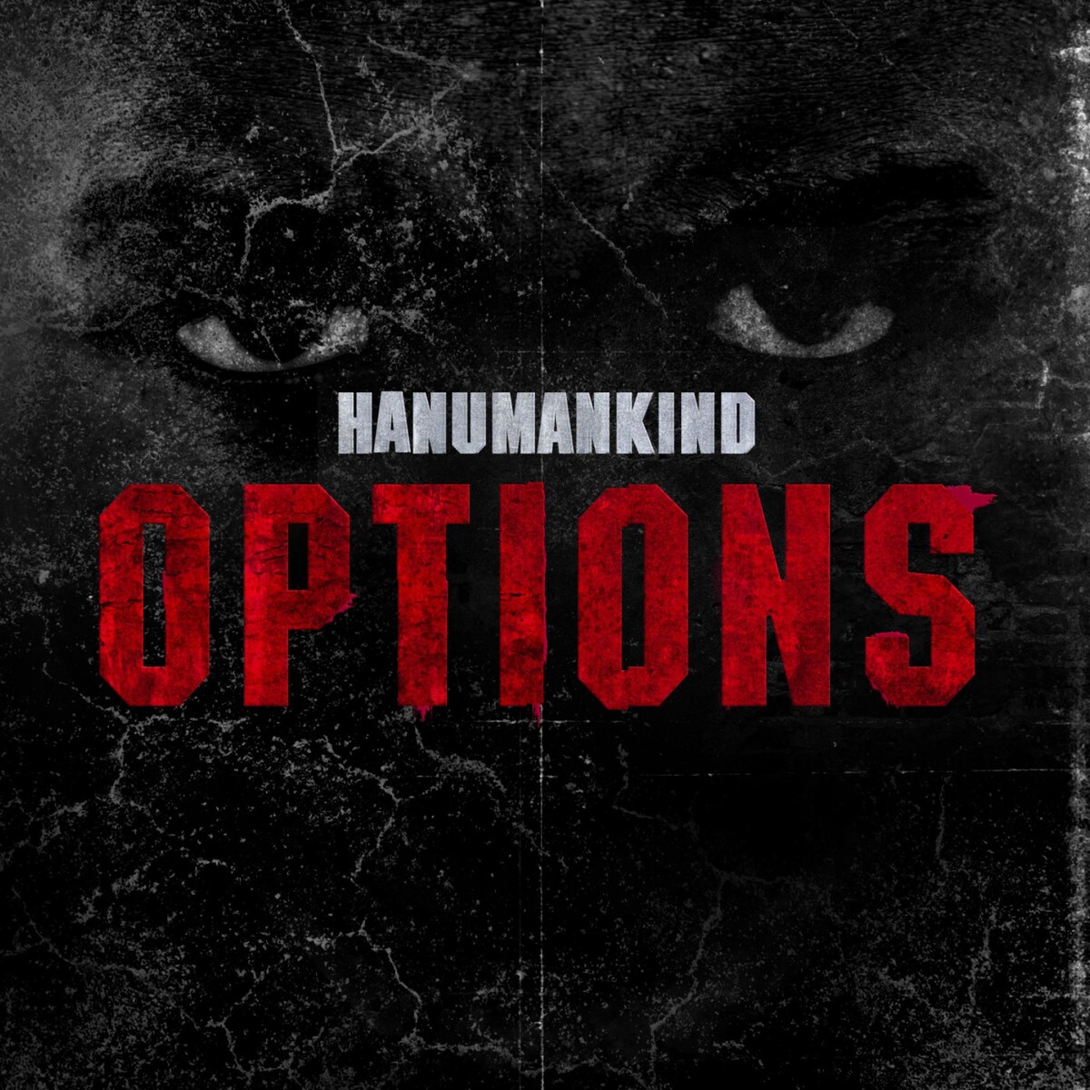 Options by Hanumankind (Single): Reviews, Ratings, Credits, Song list ...